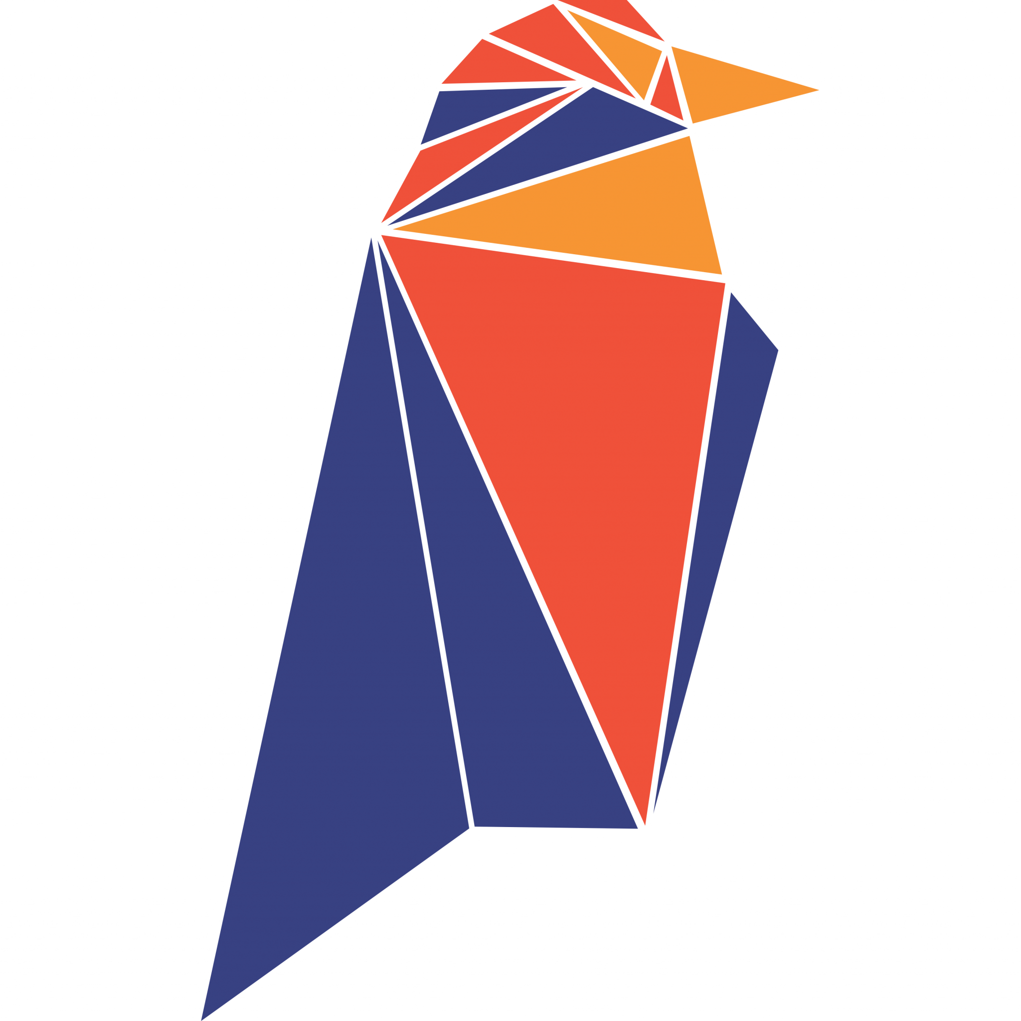 Ravencoin la crypto monnaie qui va challenger Ethereum